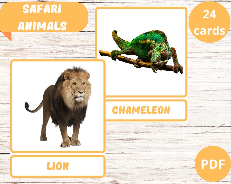 Safari Animal Flashcards for Kids 24 Printable Montessori Learning ...