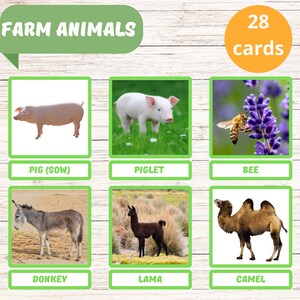 Farm Animal Flashcards Engaging Montessori Learning Tools Fun ...