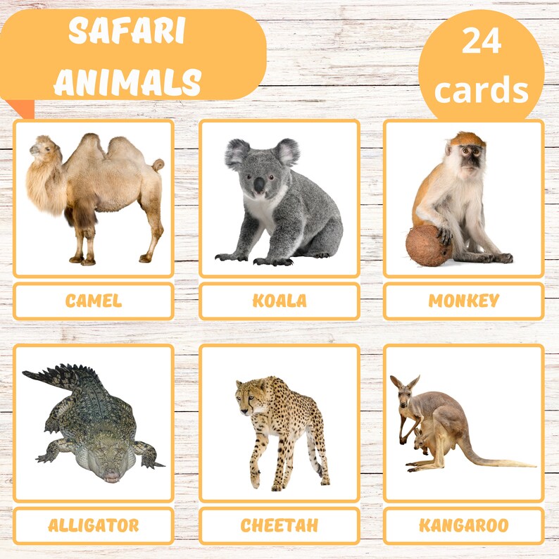 Safari Animal Flashcards for Kids 24 Printable Montessori Learning ...