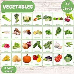 Vegetables Flashcards for Kids| Vegetables Flash Cards | Montessori ...