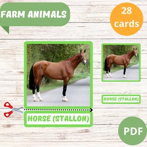 Farm Animal Flashcards Engaging Montessori Learning Tools Fun ...