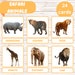 Safari Animal Flashcards for Kids 24 Printable Montessori Learning ...
