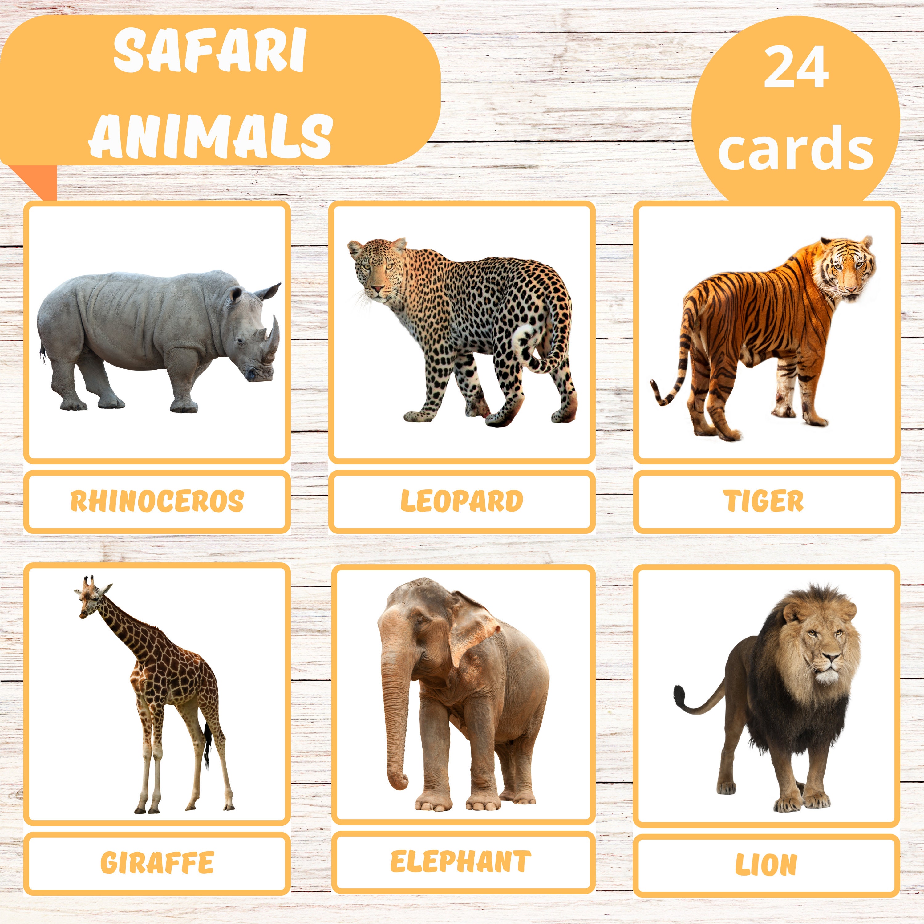 Safari Animal Flashcards for Kids 24 Printable Montessori Learning ...