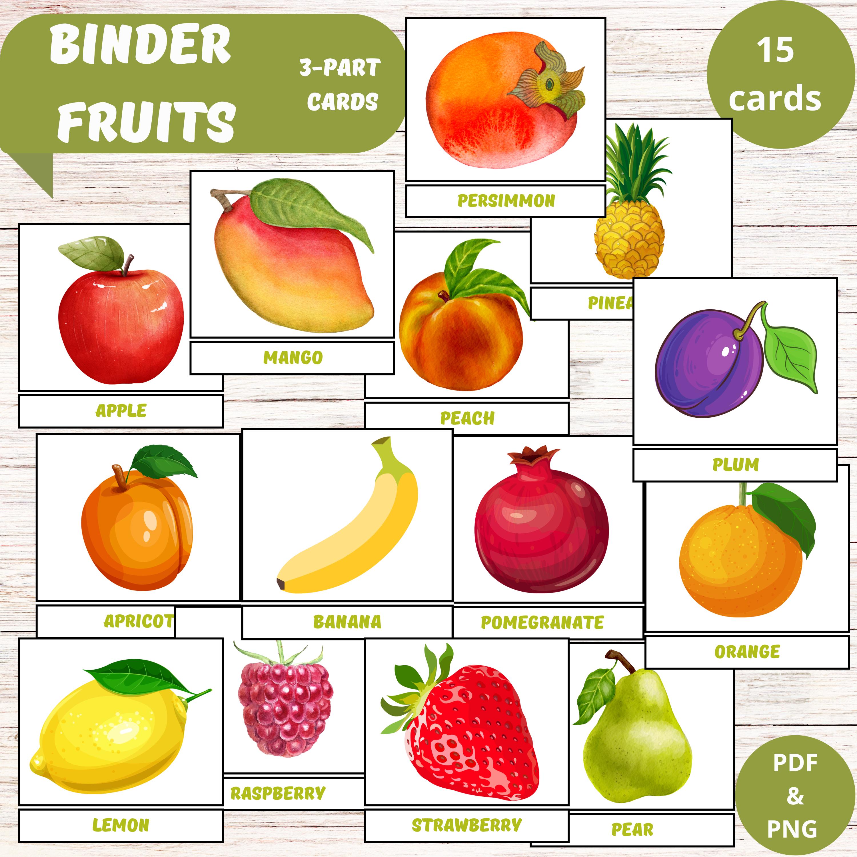 Educational Bundle Fruits Flash Cards Montessori Early Learning Binder ...
