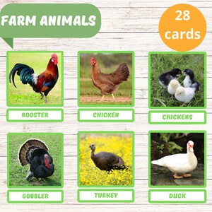 Farm Animal Flashcards Engaging Montessori Learning Tools Fun ...