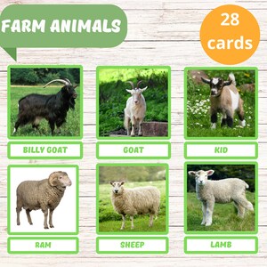 Farm Animal Flashcards Engaging Montessori Learning Tools Fun ...