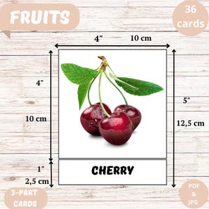 Flashcards "fruits and Berries" for Kids – Bright and Fun Learning ...
