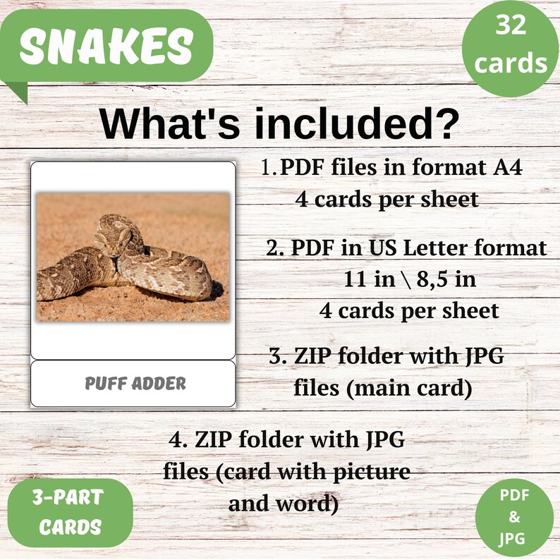 Snakes Flashcards: Montessori Learning Cards (PDF & JPG) - Etsy