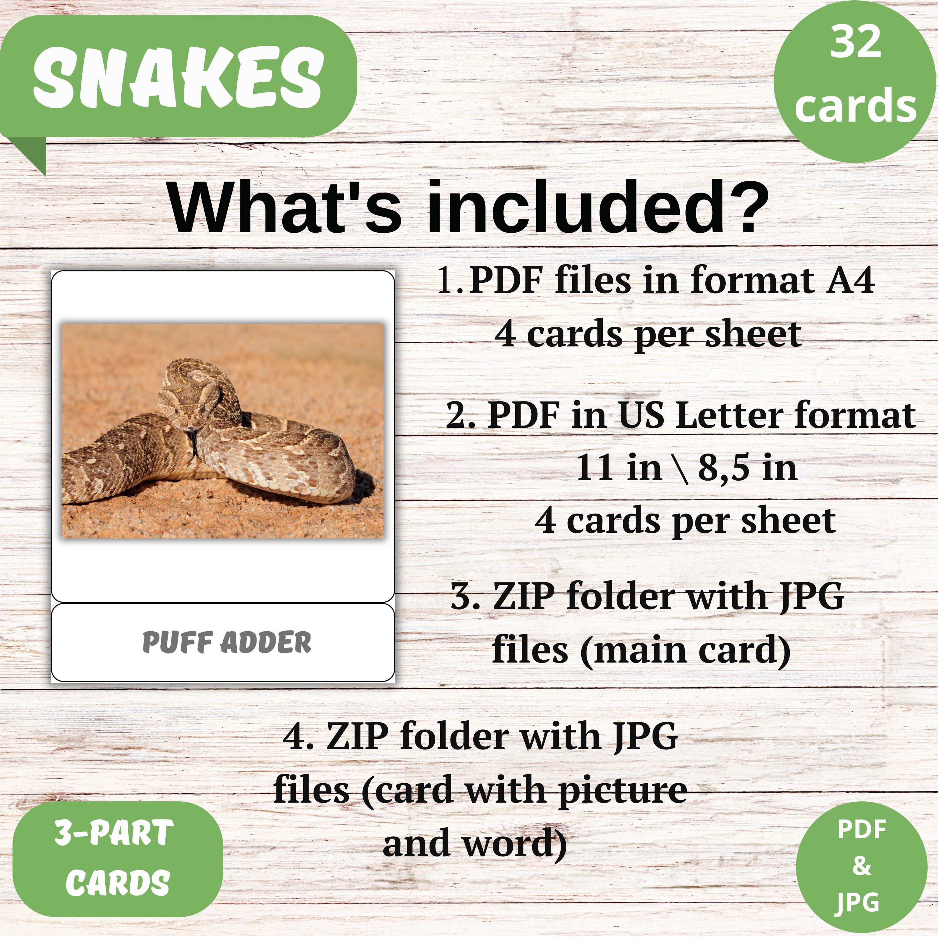 Snakes Flashcards: Montessori Learning Cards (PDF & JPG) - Etsy