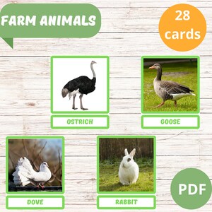 Farm Animal Flashcards Engaging Montessori Learning Tools Fun ...