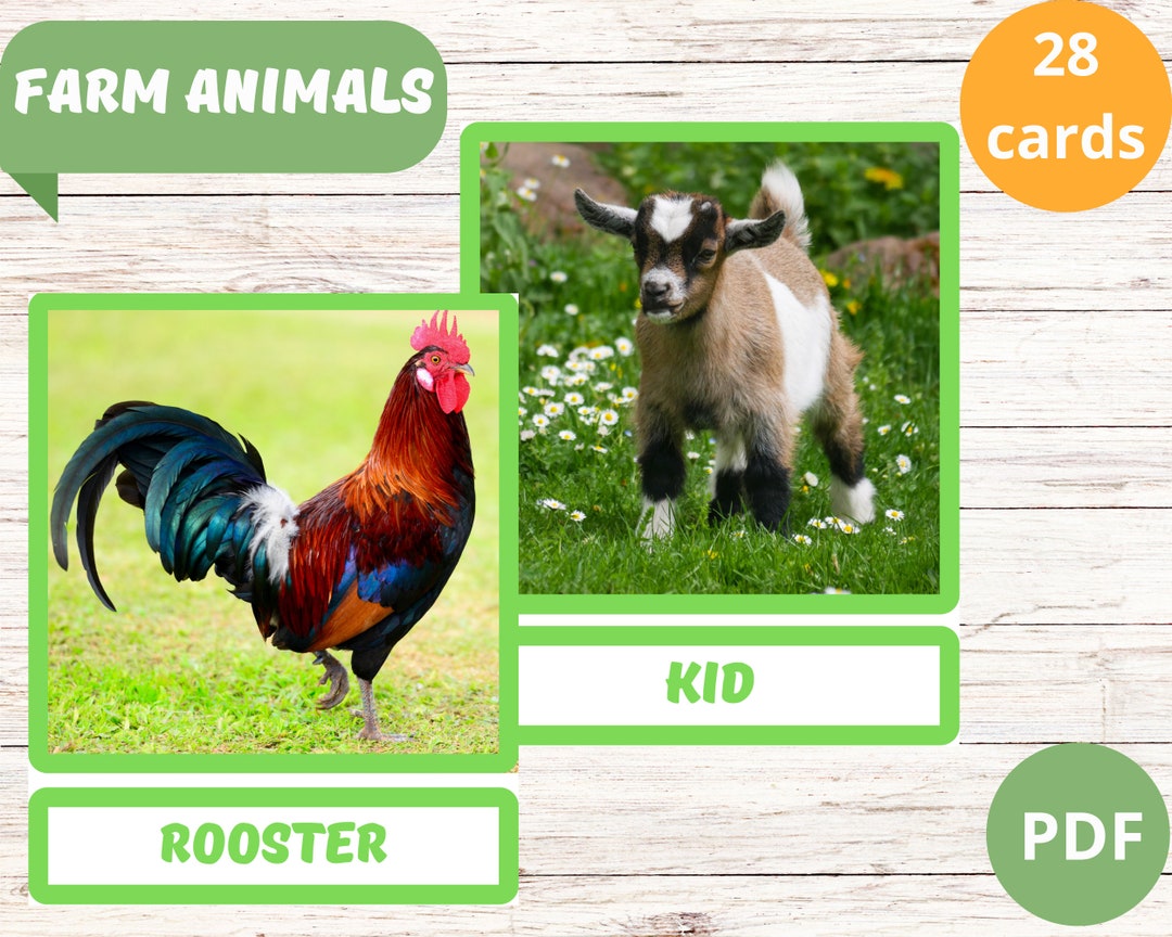 Farm Animal Flashcards Engaging Montessori Learning Tools Fun ...