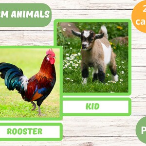Farm Animal Flashcards Engaging Montessori Learning Tools Fun ...