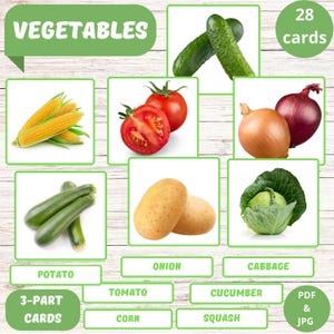 Vegetables Flashcards for Kids| Vegetables Flash Cards | Montessori ...