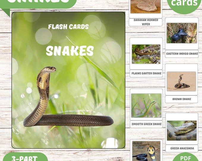 Parts of a Snake Nomenclature Book - Montessori Zoology - Printable ...
