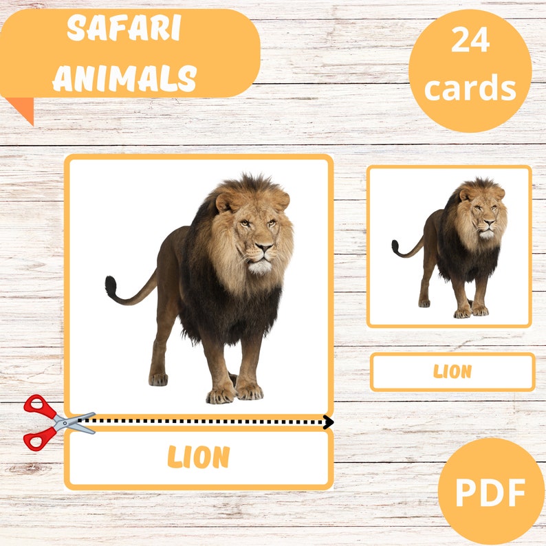 Safari Animal Flashcards for Kids 24 Printable Montessori Learning ...