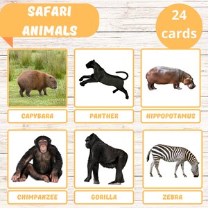 Safari Animal Flashcards for Kids 24 Printable Montessori Learning ...