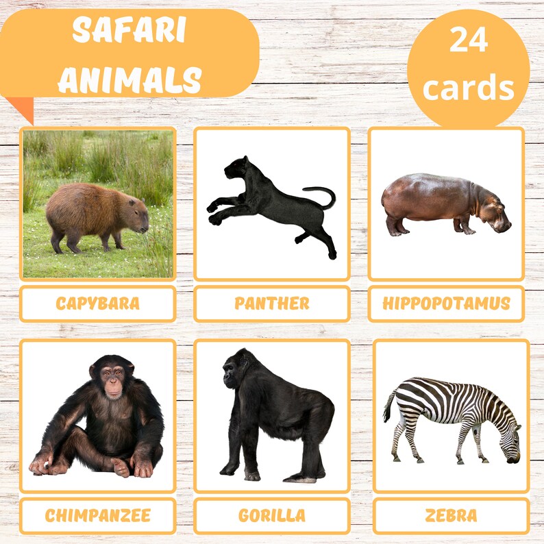 Safari Animal Flashcards for Kids 24 Printable Montessori Learning ...