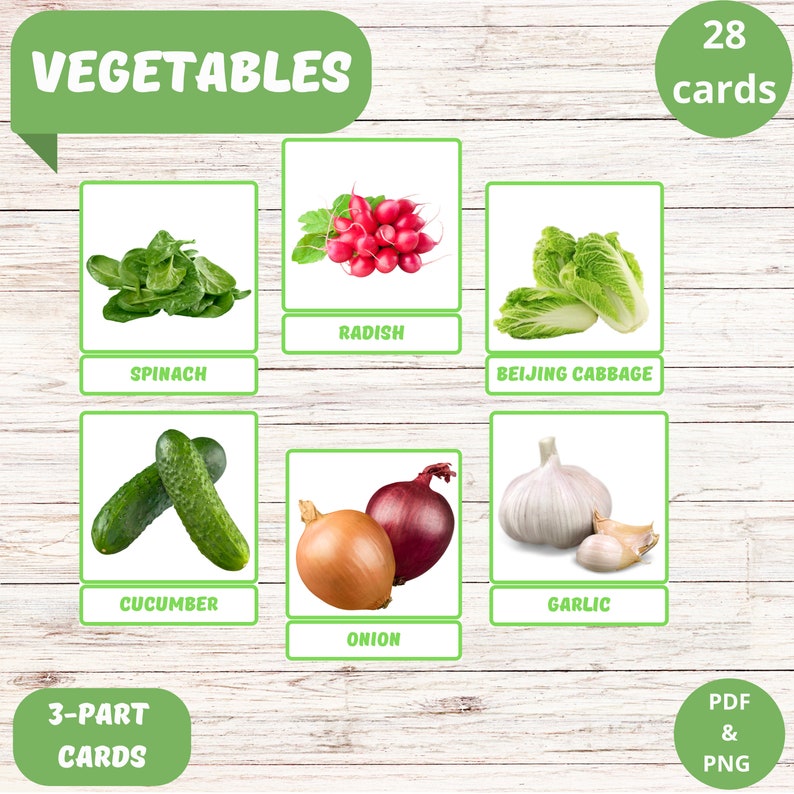 Educational Vegetables Flashcards for Kids 28 Vegetables Flash Cards ...