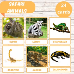 Safari Animal Flashcards for Kids 24 Printable Montessori Learning ...