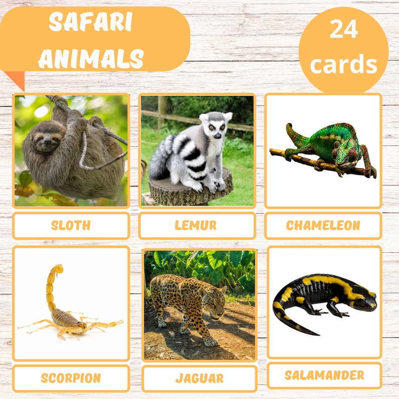 Safari Animal Flashcards for Kids 24 Printable Montessori Learning ...