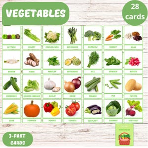 Vegetables Flashcards for Kids| Vegetables Flash Cards | Montessori ...