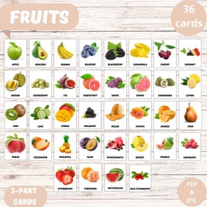 Flashcards "fruits and Berries" for Kids – Bright and Fun Learning ...