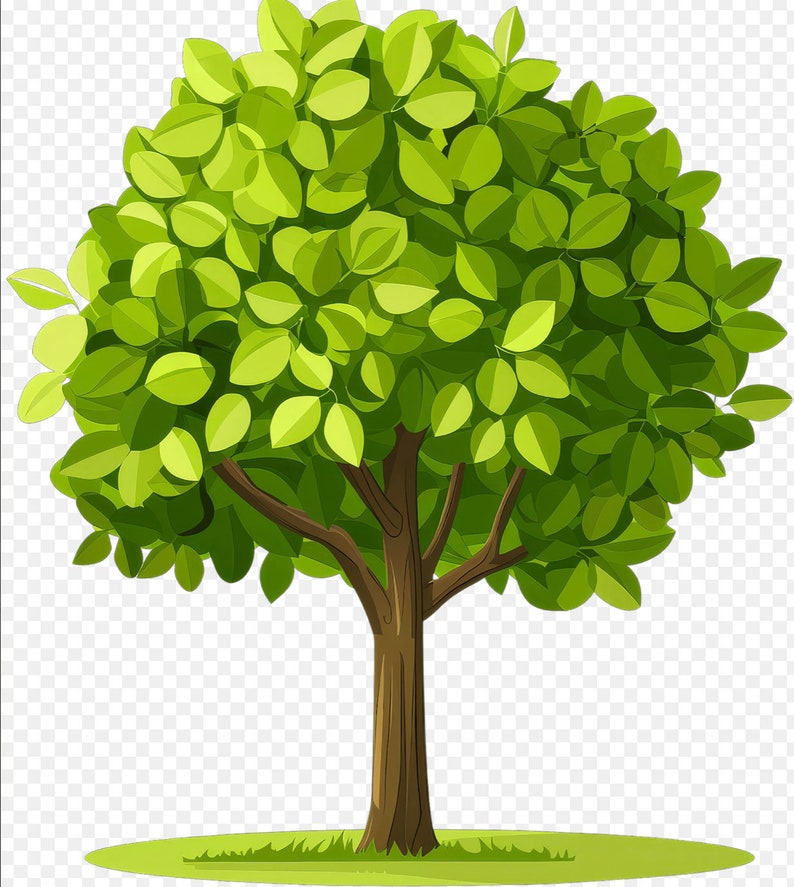 Tree Plant Clipart Set of 10 PNG High Quality Cute Trees Prints Floral ...
