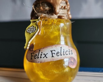 One of a Kind Potion Felix Felicis' Liquid Luck Friendly Witch Inn - Etsy