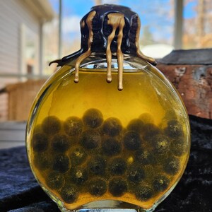 Tairn's Wrath Elixir Fourth Wing Potion Bottle - Etsy