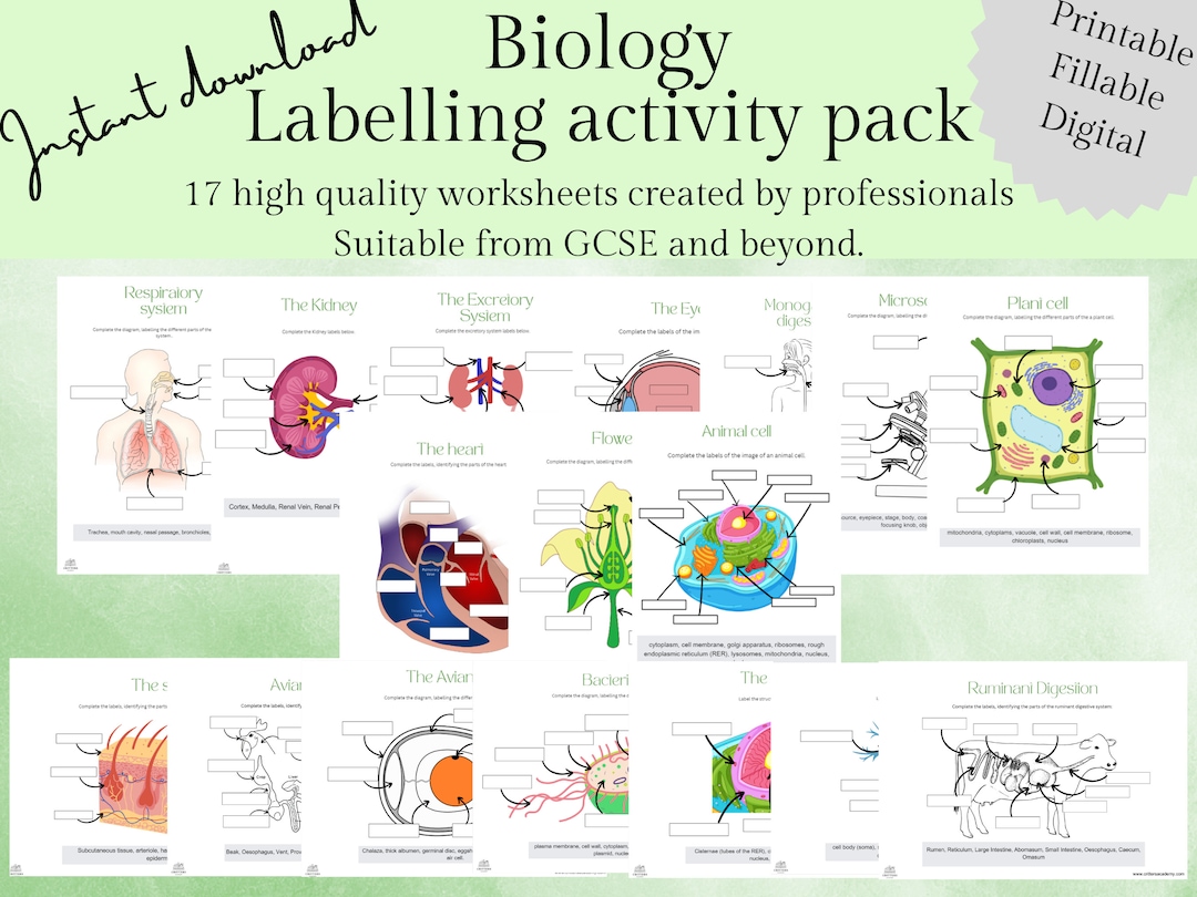 Biology Labeling Diagram Activity Printable Fillable Instant Download ...