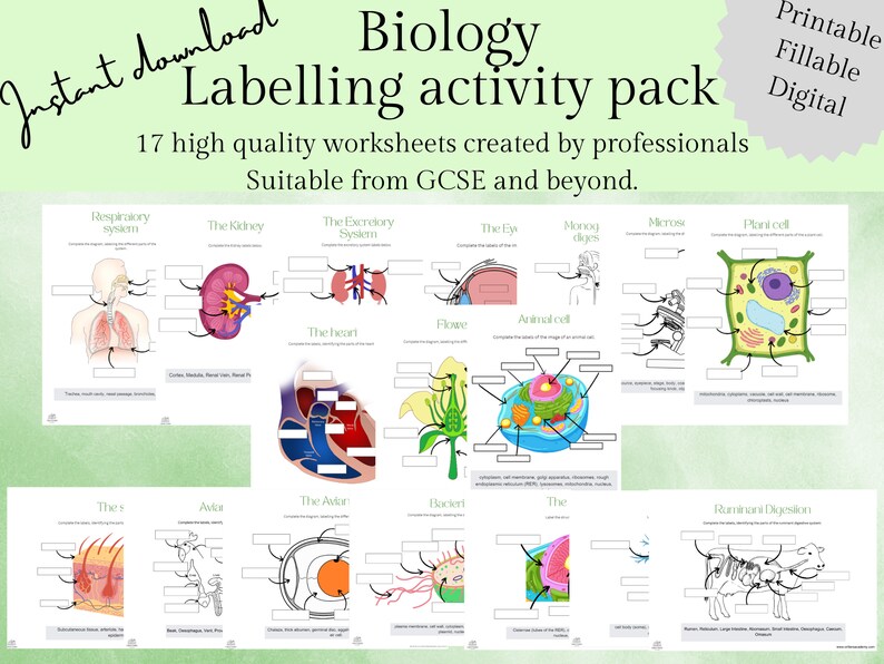 Biology Labeling Diagram Activity Printable Fillable Instant Download ...