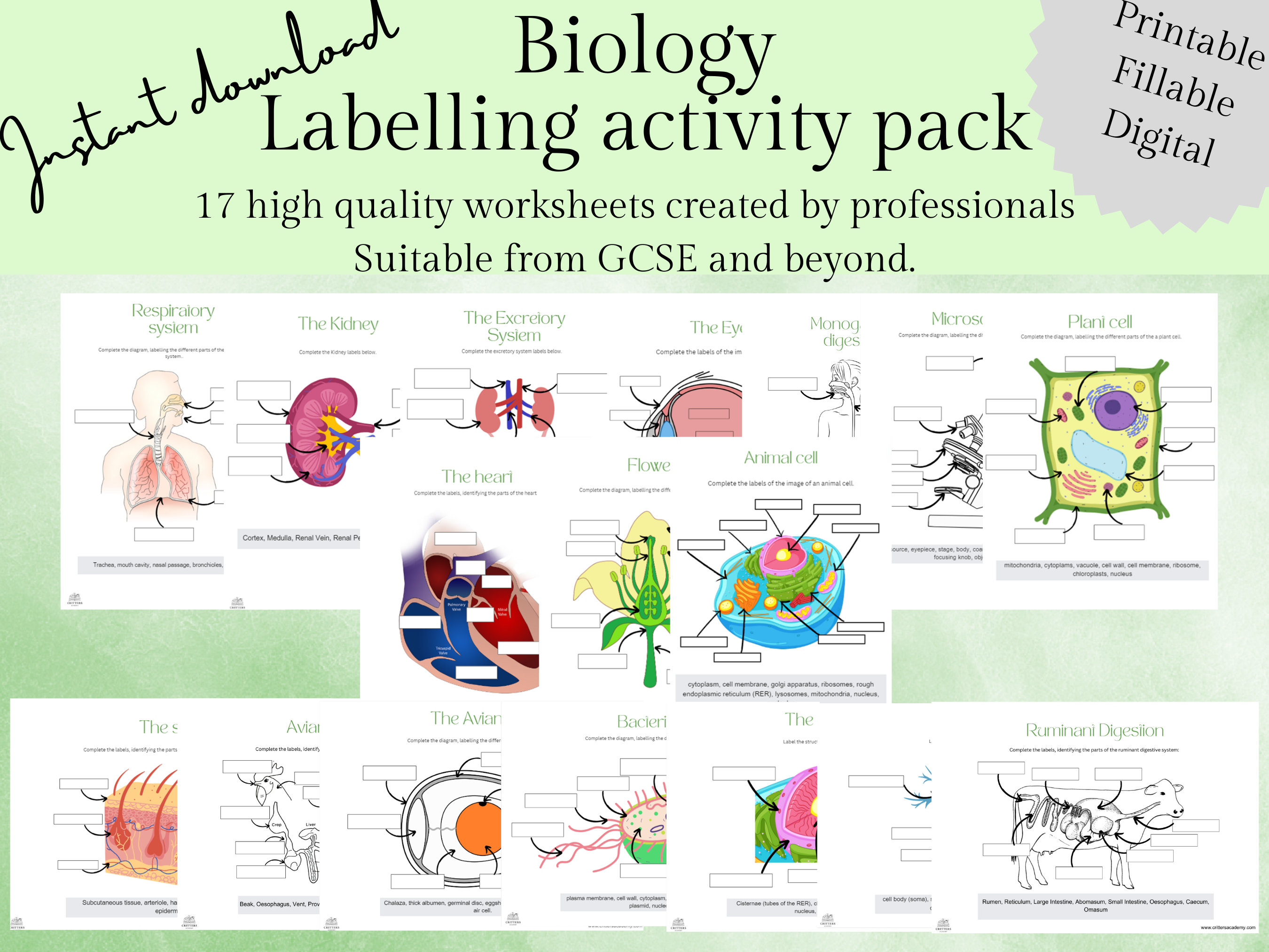 Biology Labeling Diagram Activity Printable Fillable Instant Download ...