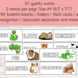 Animal Word Wall | Flash Card Pack | Primary | Animal | Classroom ...