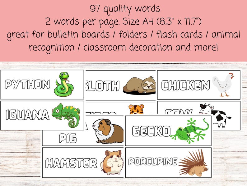 Animal Word Wall | Flash Card Pack | Primary | Animal | Classroom ...