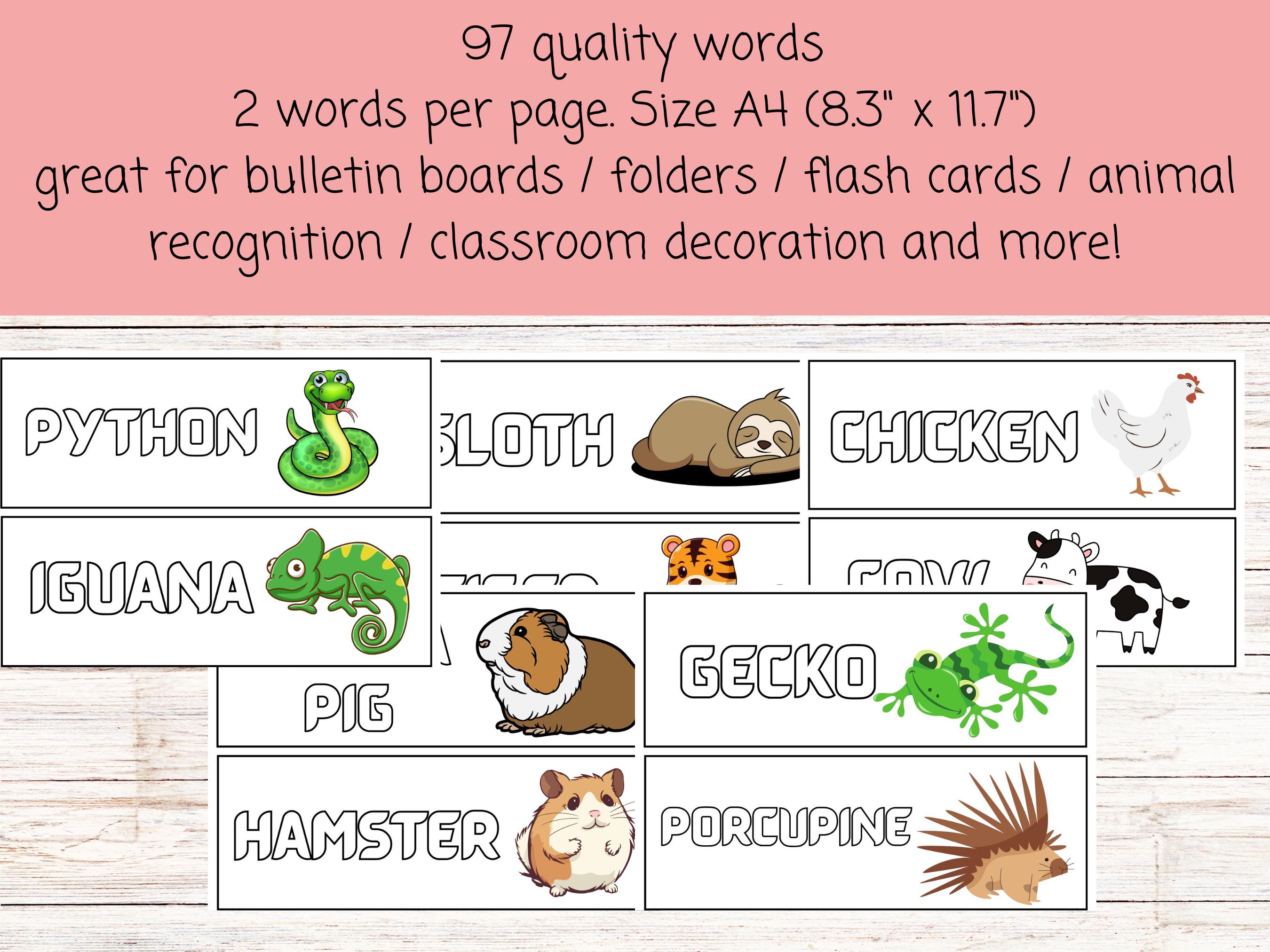 Animal Word Wall | Flash Card Pack | Primary | Animal | Classroom ...