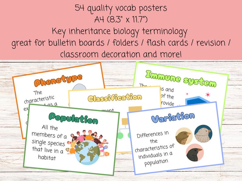 GCSE | Inheritance | Biology | Science | Vocabulary | Word Posters ...