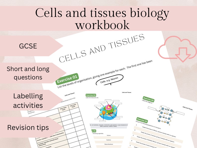 Cell and Tissues Biology Workbook Revision Activity Biology Worksheets ...