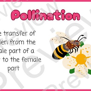 GCSE | Ecology | Biology | Science | Vocabulary | Word Posters ...