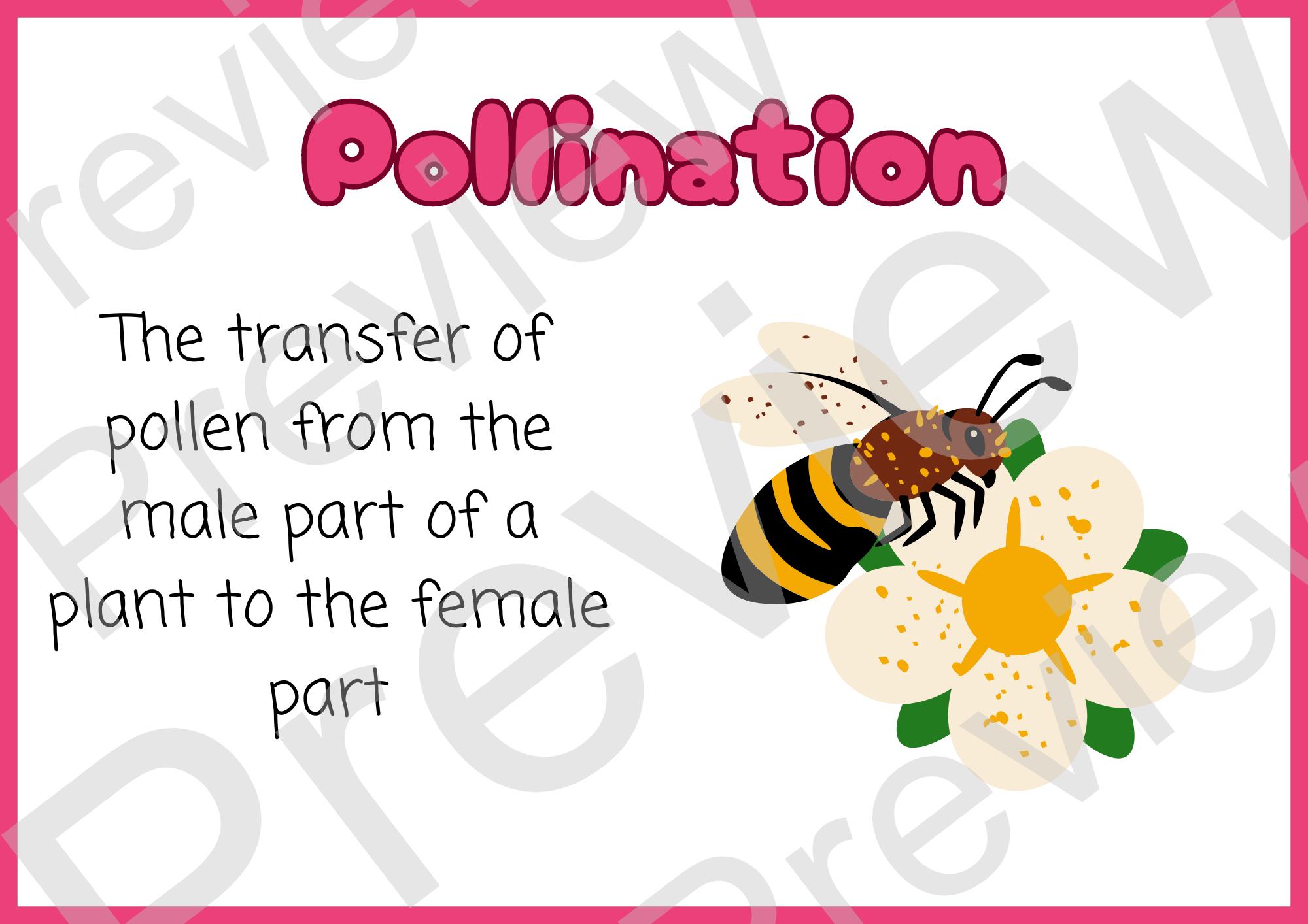 GCSE | Ecology | Biology | Science | Vocabulary | Word Posters ...