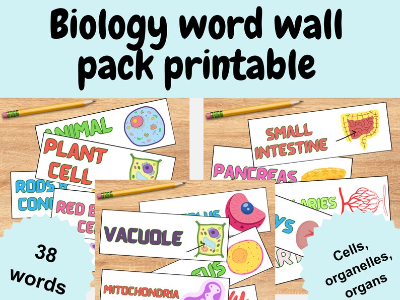 Biology Word Wall Flash Card Pack | Anatomy | Cell Biology | Lab Notes ...