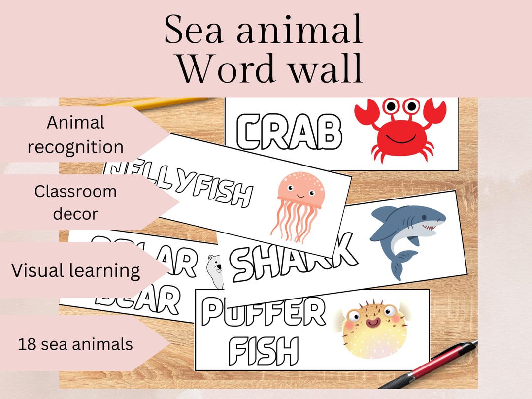 Sea Animal Word Wall Flash Card Pack Forest Animals Primary Animal ...
