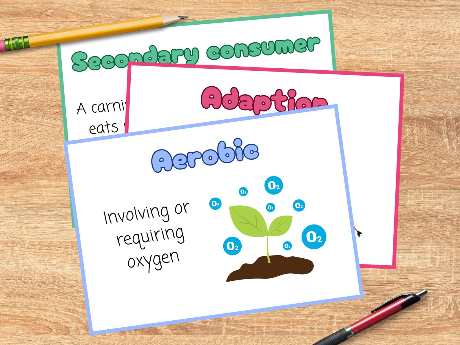 GCSE | Ecology | Biology | Science | Vocabulary | Word Posters ...