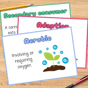 GCSE | Ecology | Biology | Science | Vocabulary | Word Posters ...