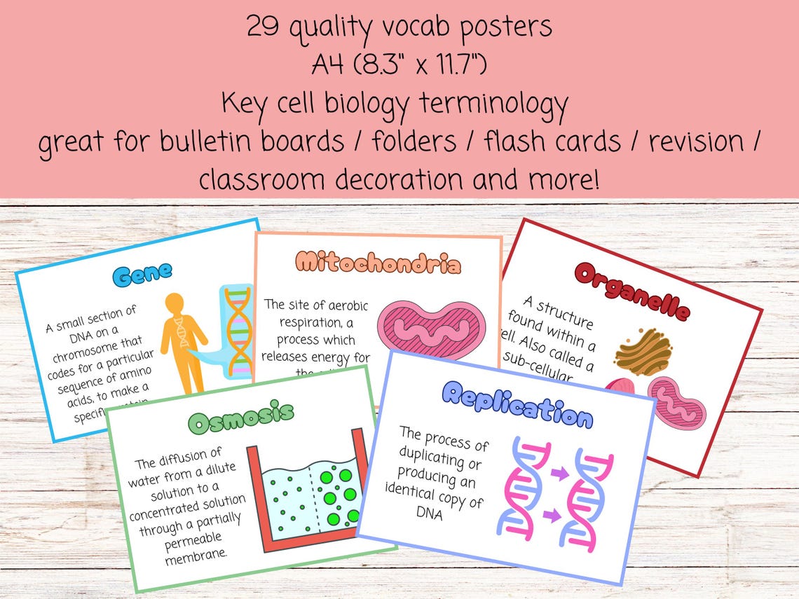 GCSE | Cell | Biology | Science | Posters | Classroom Decor ...