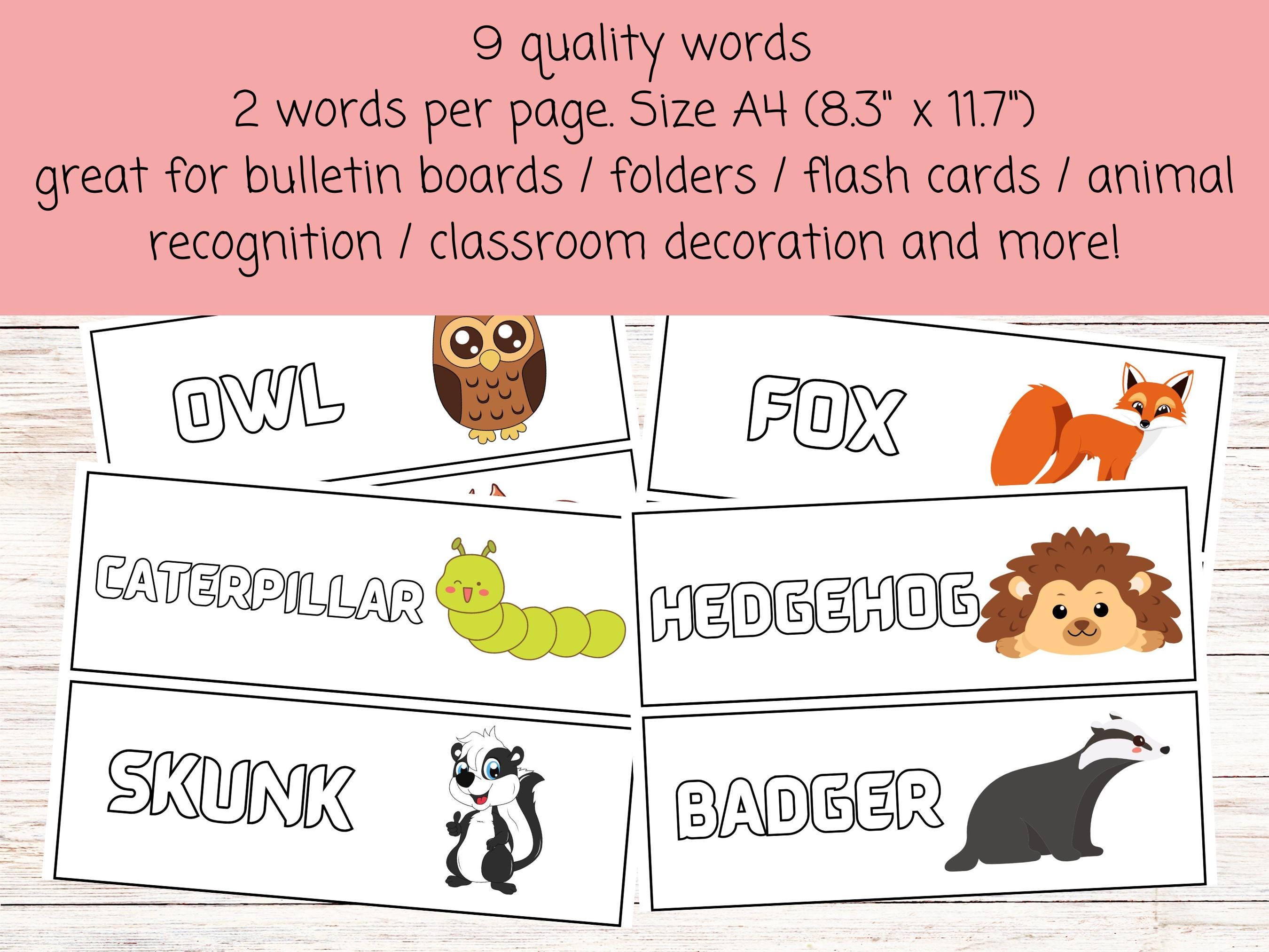 Woodland Animal Word Wall Flash Card Pack | Forest Animals | Primary ...