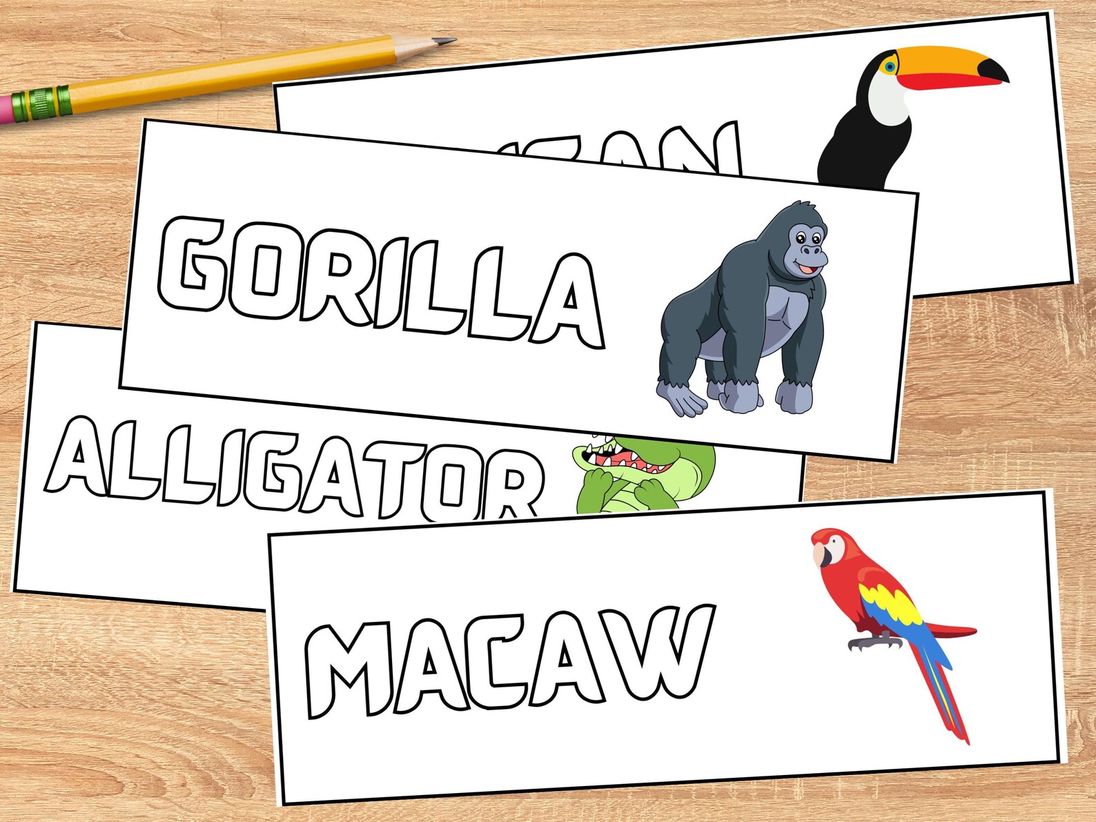 Jungle Animal Word Wall Rainforest Flash Card Pack Primary Animal ...
