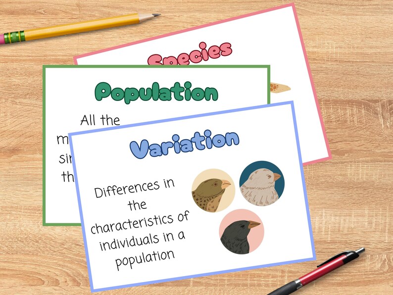 GCSE | Inheritance | Biology | Science | Vocabulary | Word Posters ...