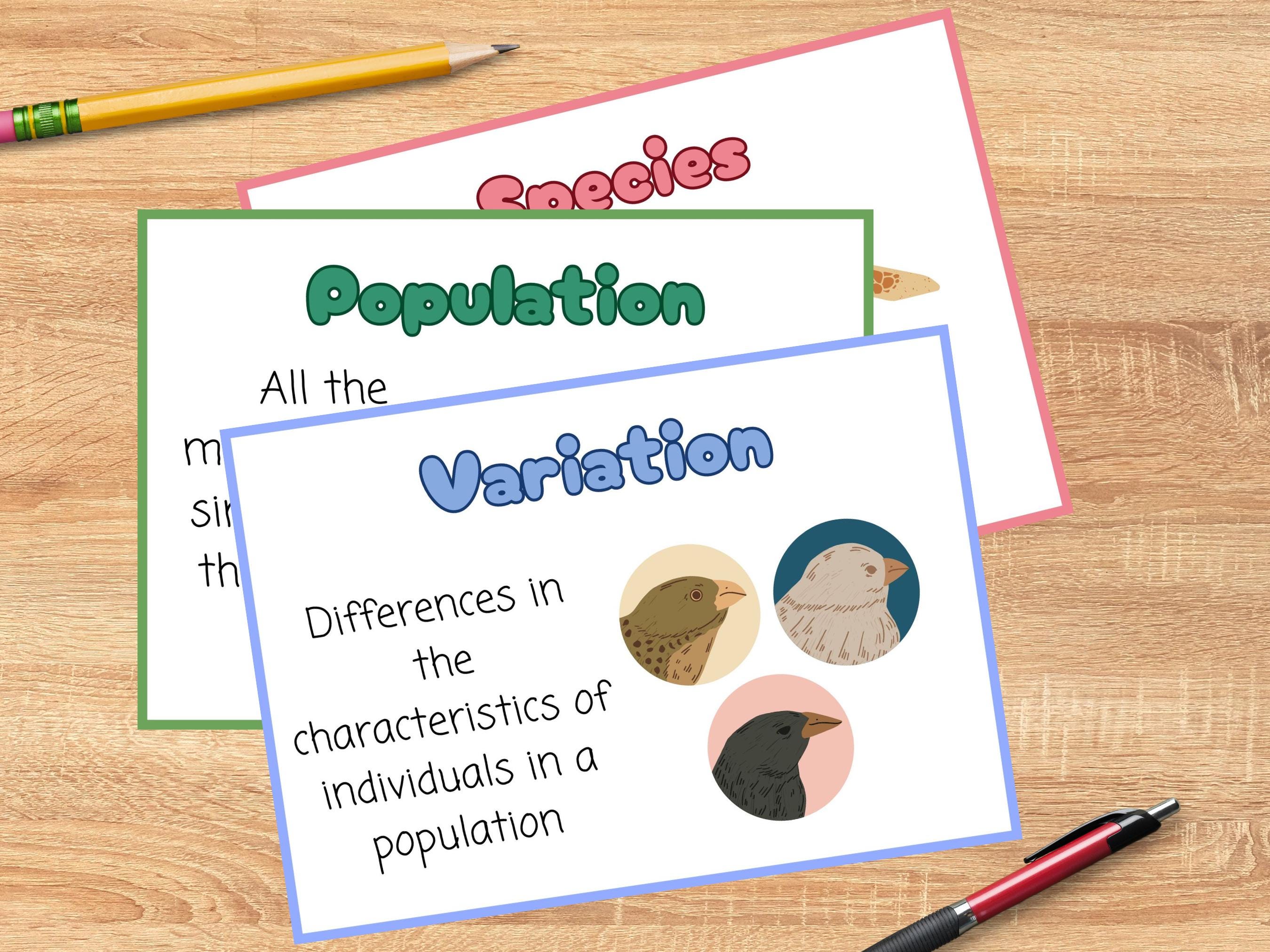 GCSE | Inheritance | Biology | Science | Vocabulary | Word Posters ...