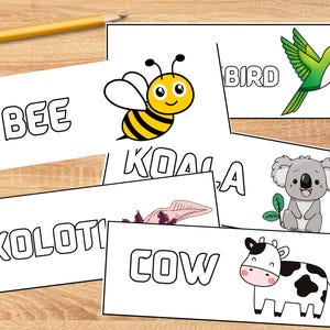 Animal Word Wall | Flash Card Pack | Primary | Animal | Classroom ...
