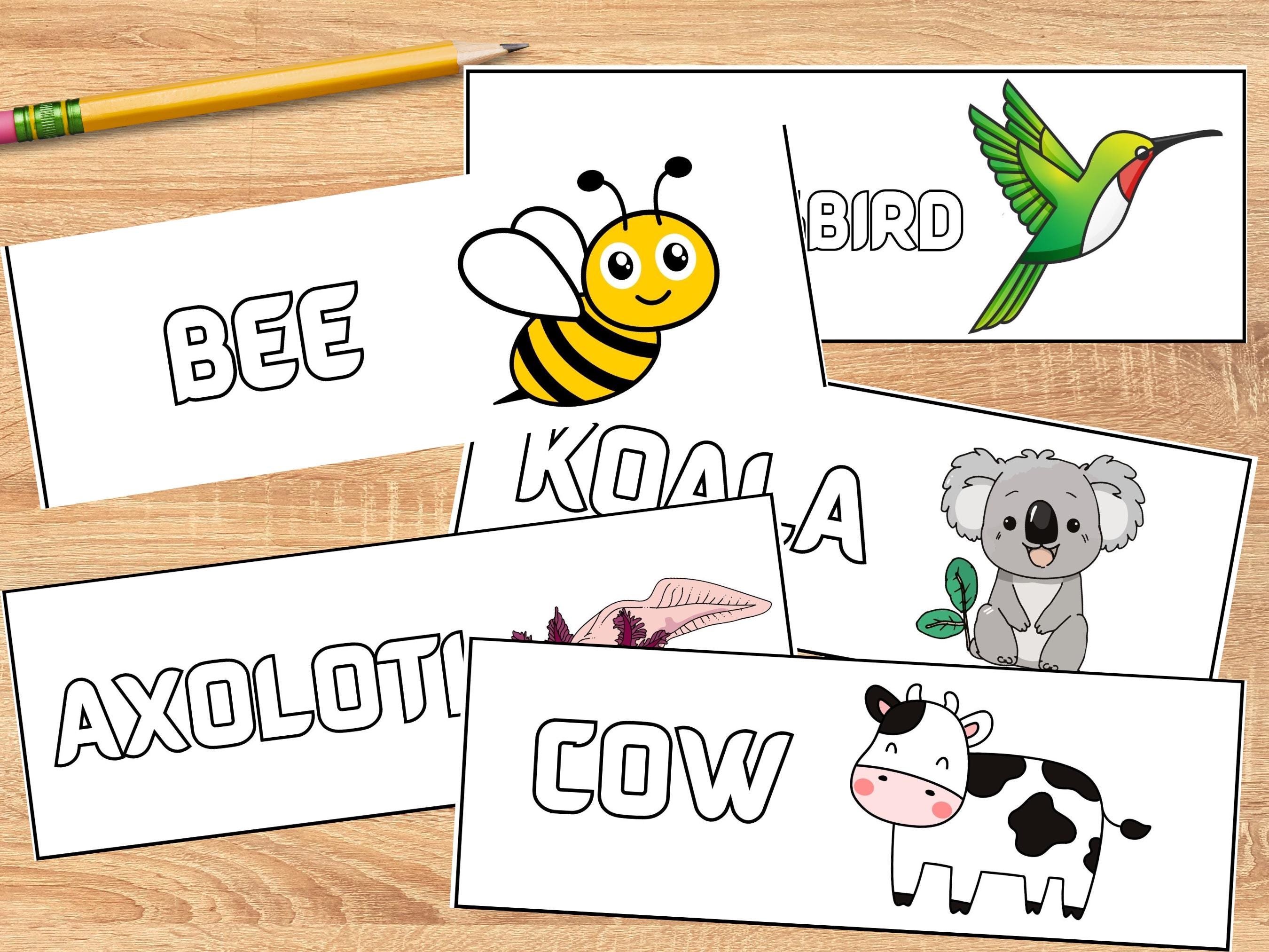 Animal Word Wall | Flash Card Pack | Primary | Animal | Classroom ...